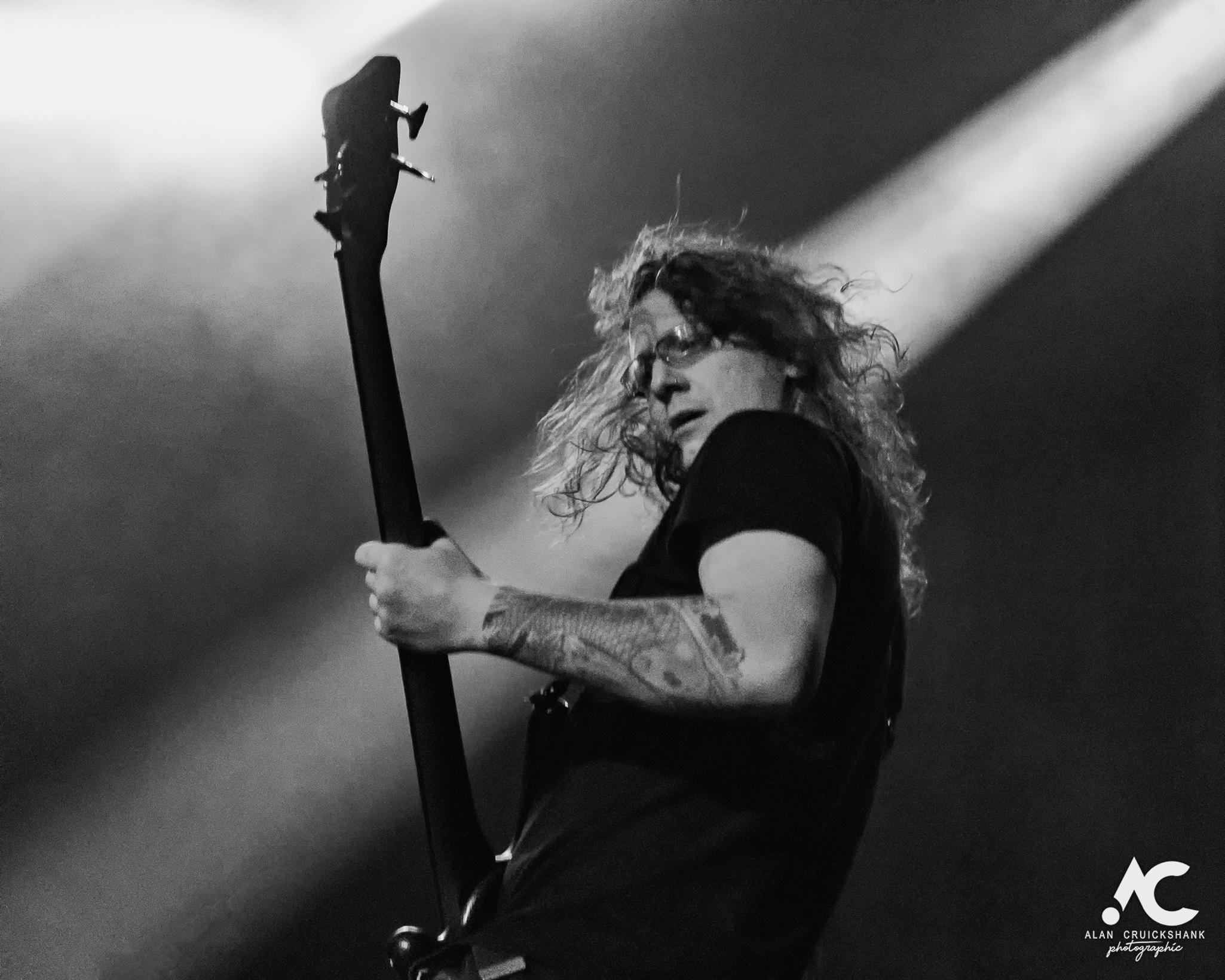Mikey's Line Hive Project fundraiser - Images - IGigs