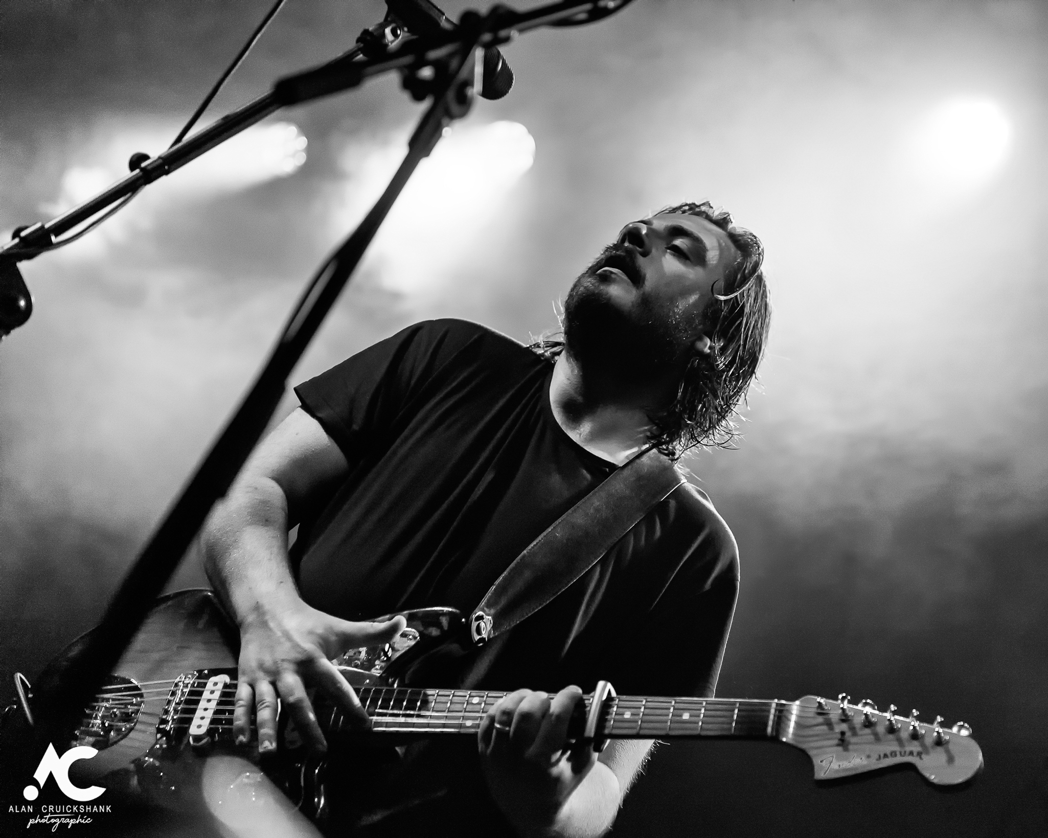 Mikey's Line Hive Project fundraiser - Images - IGigs